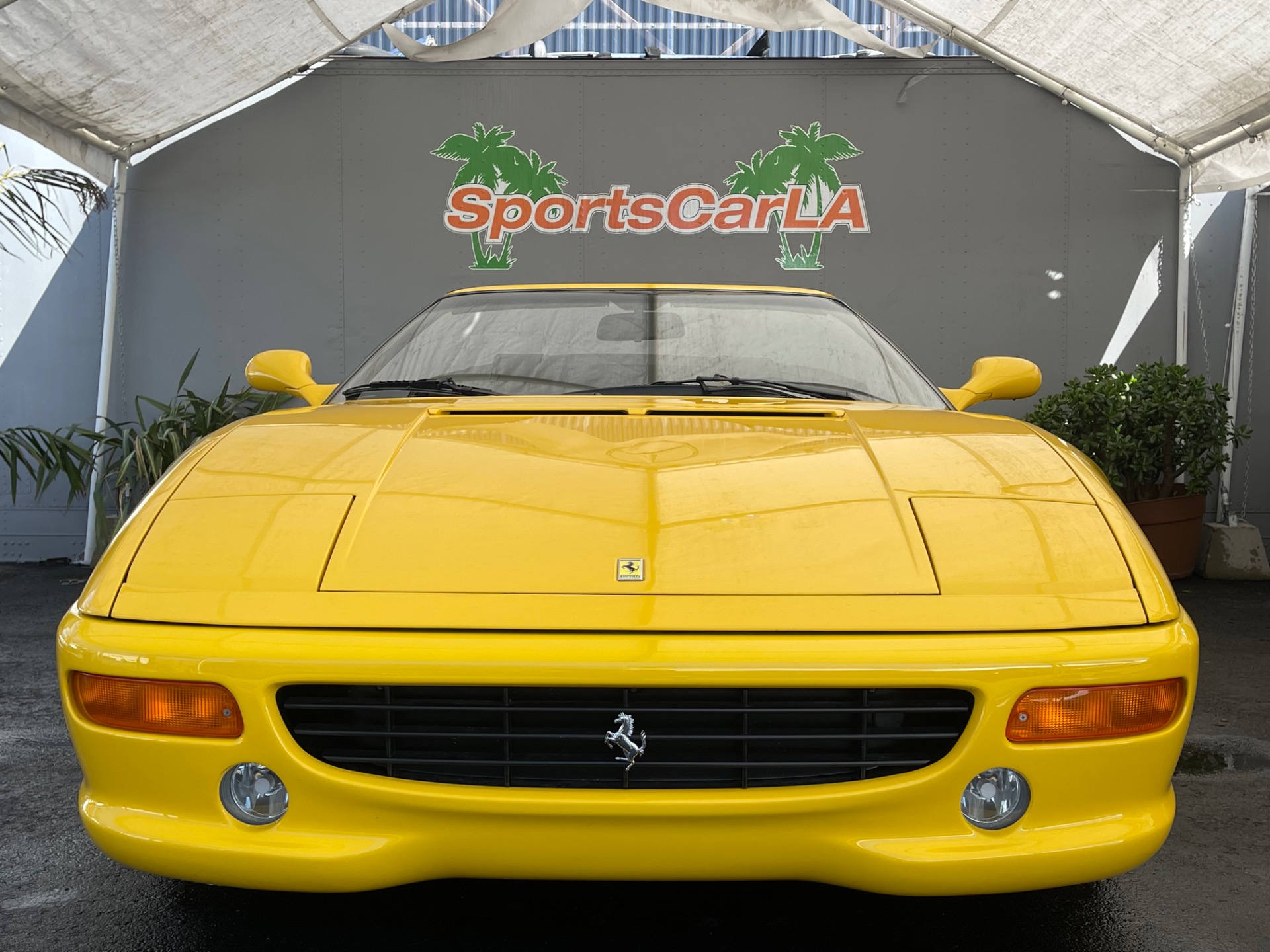 Used 1997 FERRARI 355 SPYDER 355 SPYDER For Sale ($121,750) | SportsCar ...